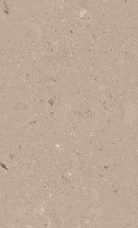 4230 Shitake Quartz Kitchen Worktop | Caesarstone